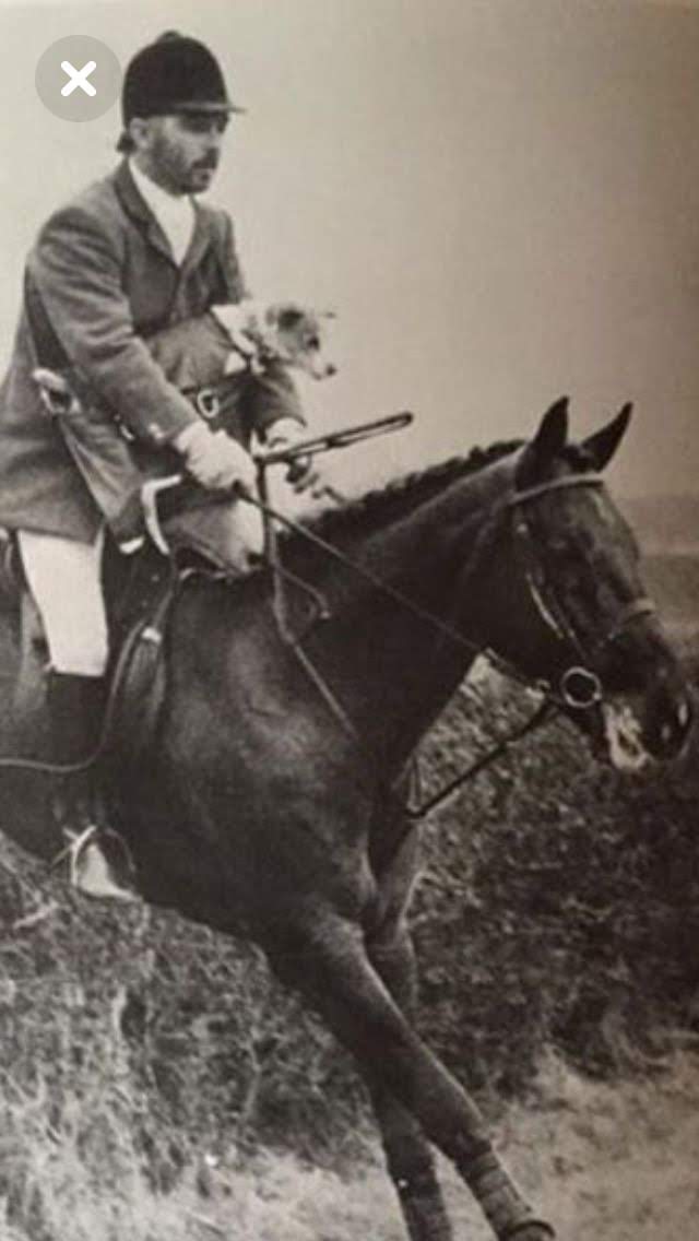 Terrierman's Daily Dose: Terrier Bags on Horses