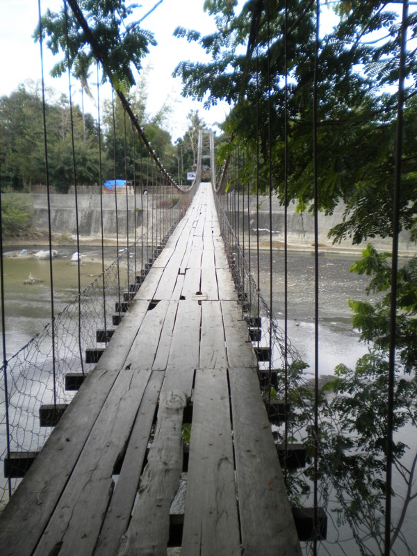 Soliloquy Beyond: This Weirdo's Summer Blog