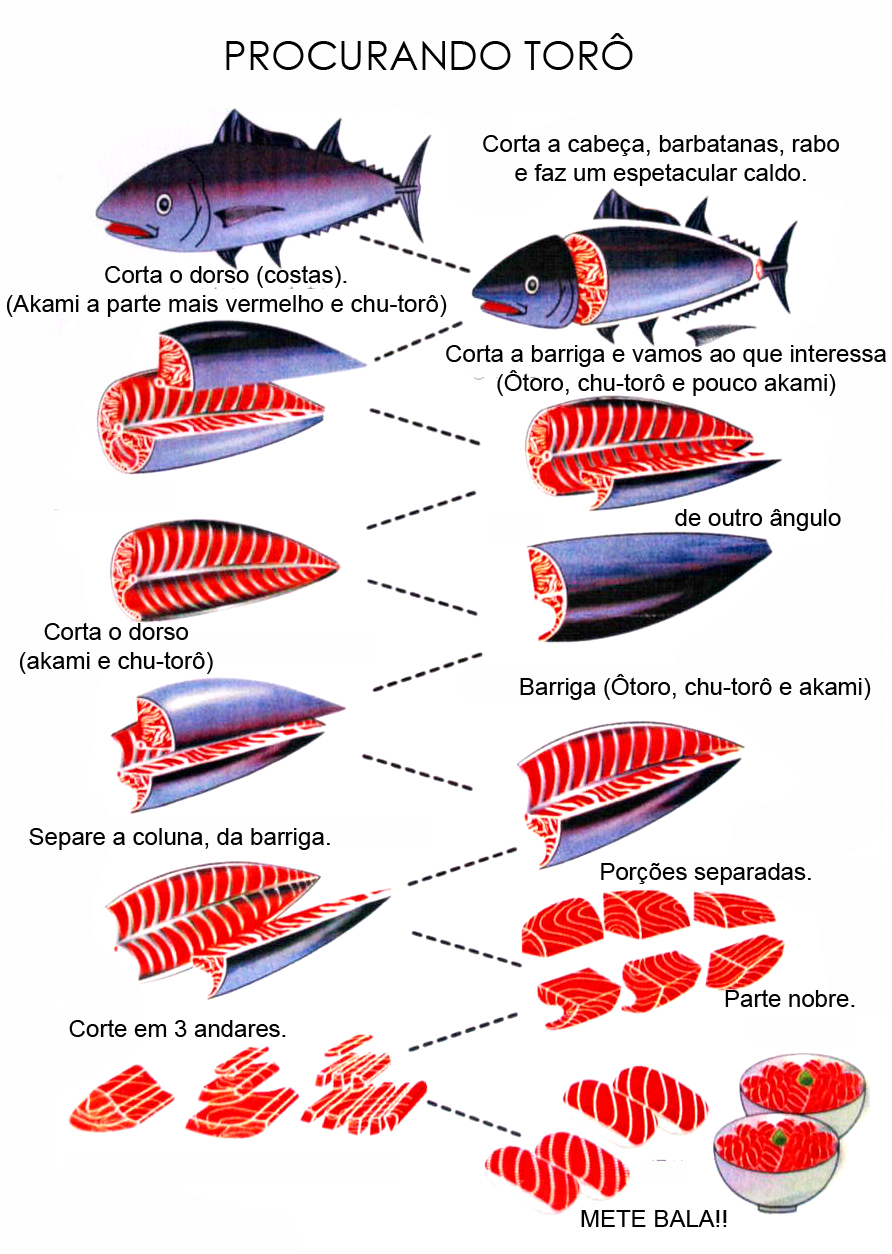 WASHOKU: Atum - 1º Parte