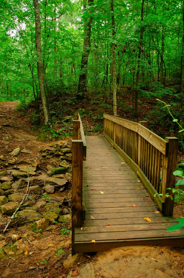 One State, Two Boys: Moss Rock Preserve - Hoover, Alabama - July 15, 2011