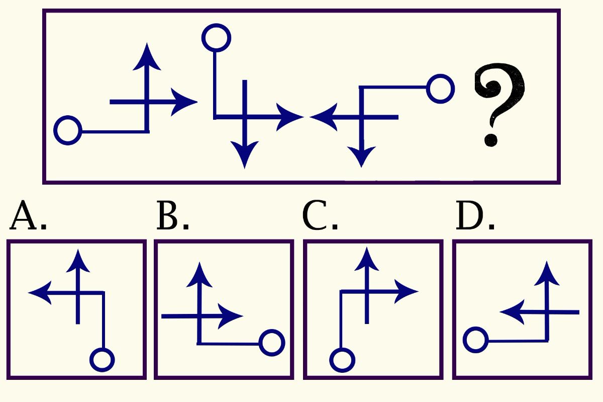 Free IQ Test Quiz Answers || 149 IQ Scored || IntelliTest