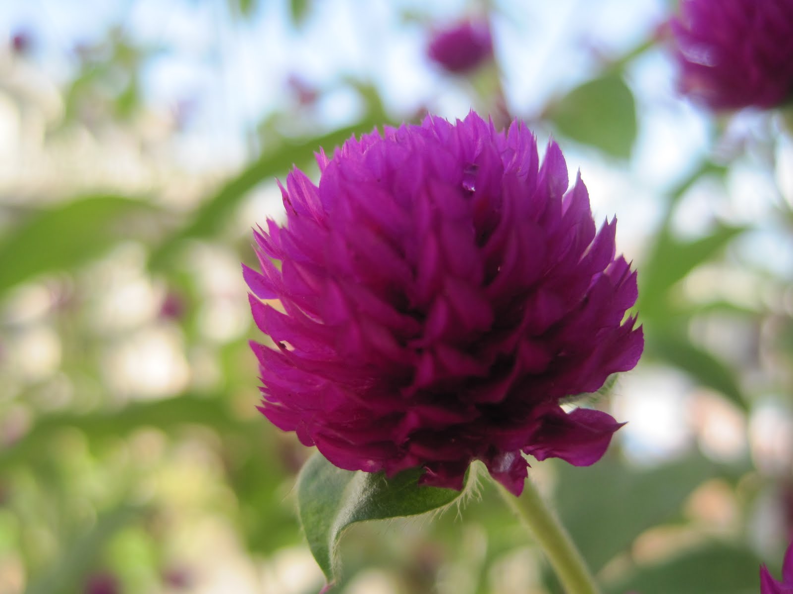 SHARE TWEET TELEGRAM WHATSAPP PIN IT SHARE