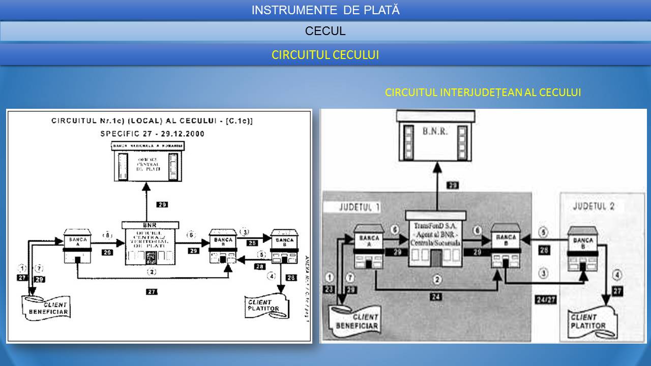 Profu`economist: CECUL