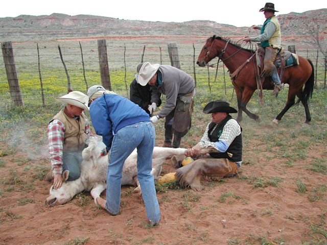 prairiemary: A THOUSAND LITTLE SCHISMS, FANCIES, SLIGHTS AND ADVANTAGES