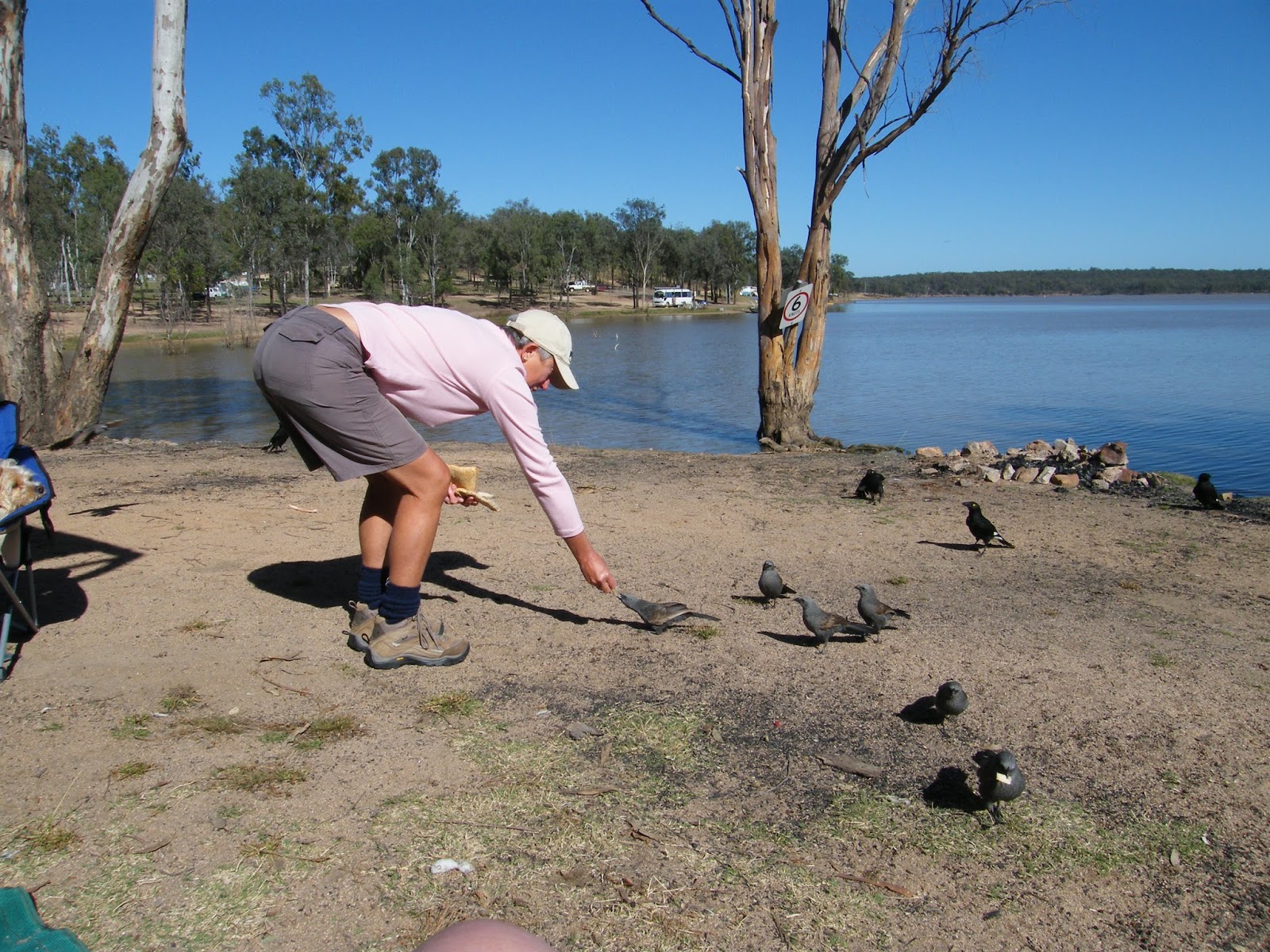 BJ and Noelle Travel Oz : Inskip Point - Boondooma Dam, Queensland