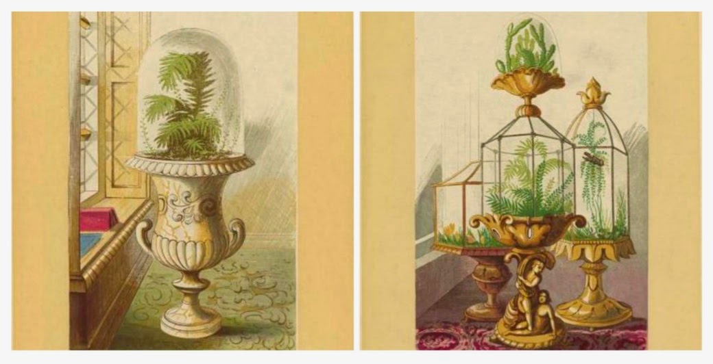 Eye For Design: Decorate With Fern Decor For Trendy Interiors