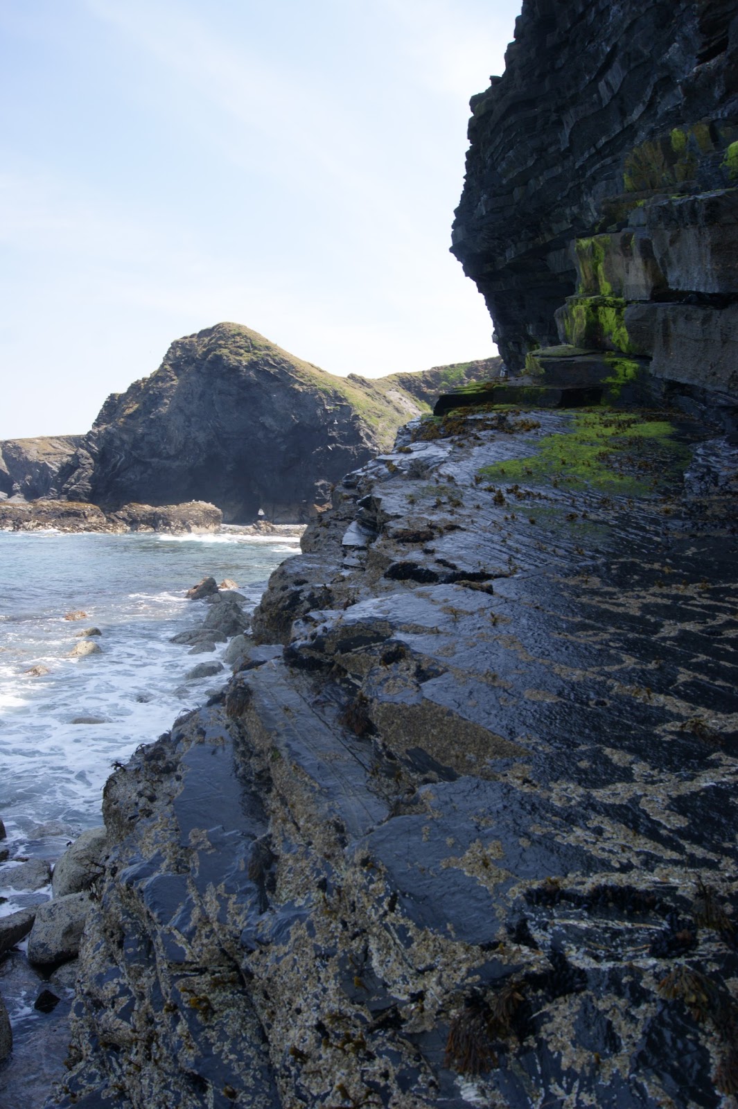Clotted cream and cliff walks in Cornwall... (very PICTURE HEAVY ...