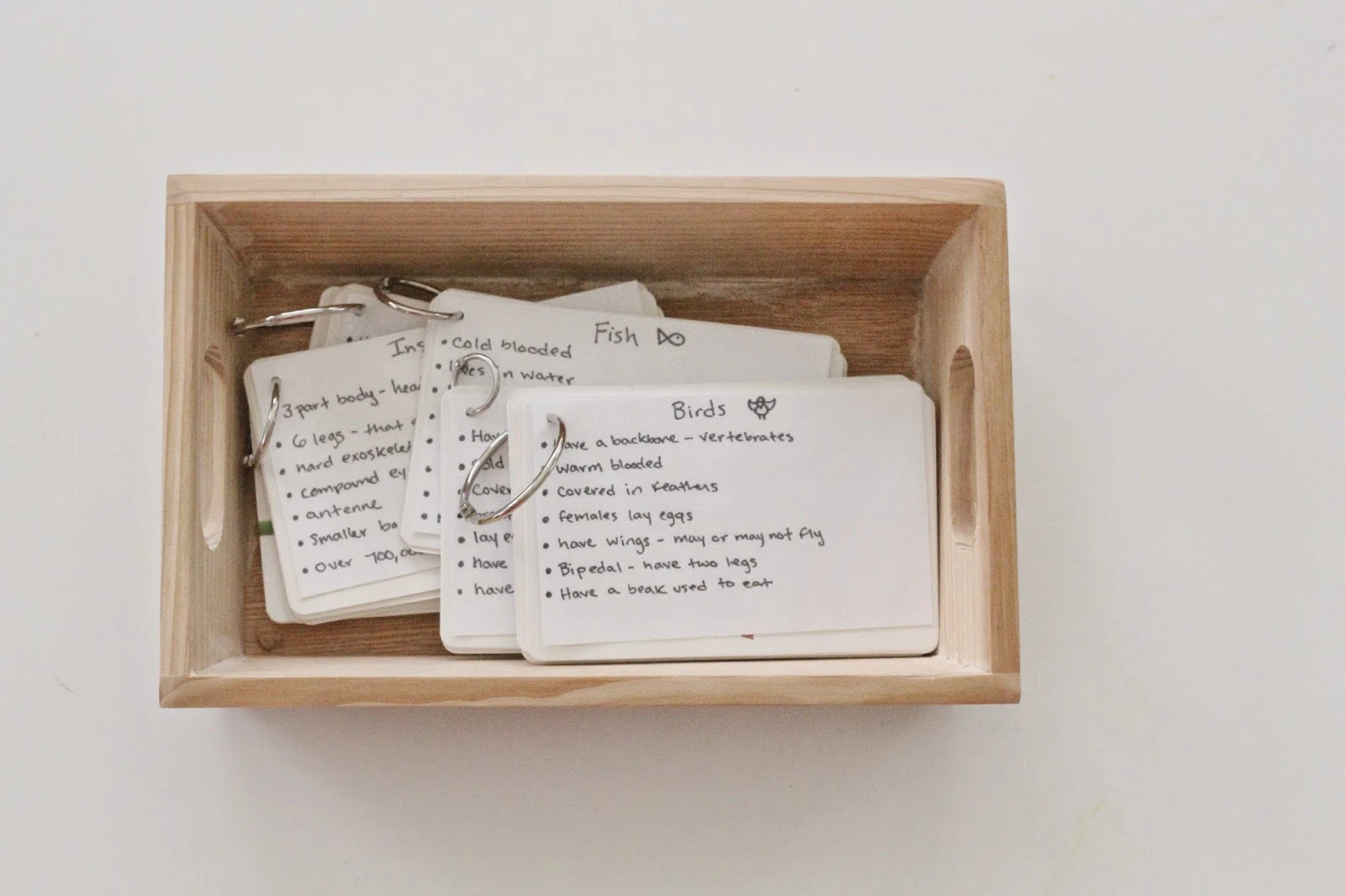 Montessori Inspired Math and Science Trays