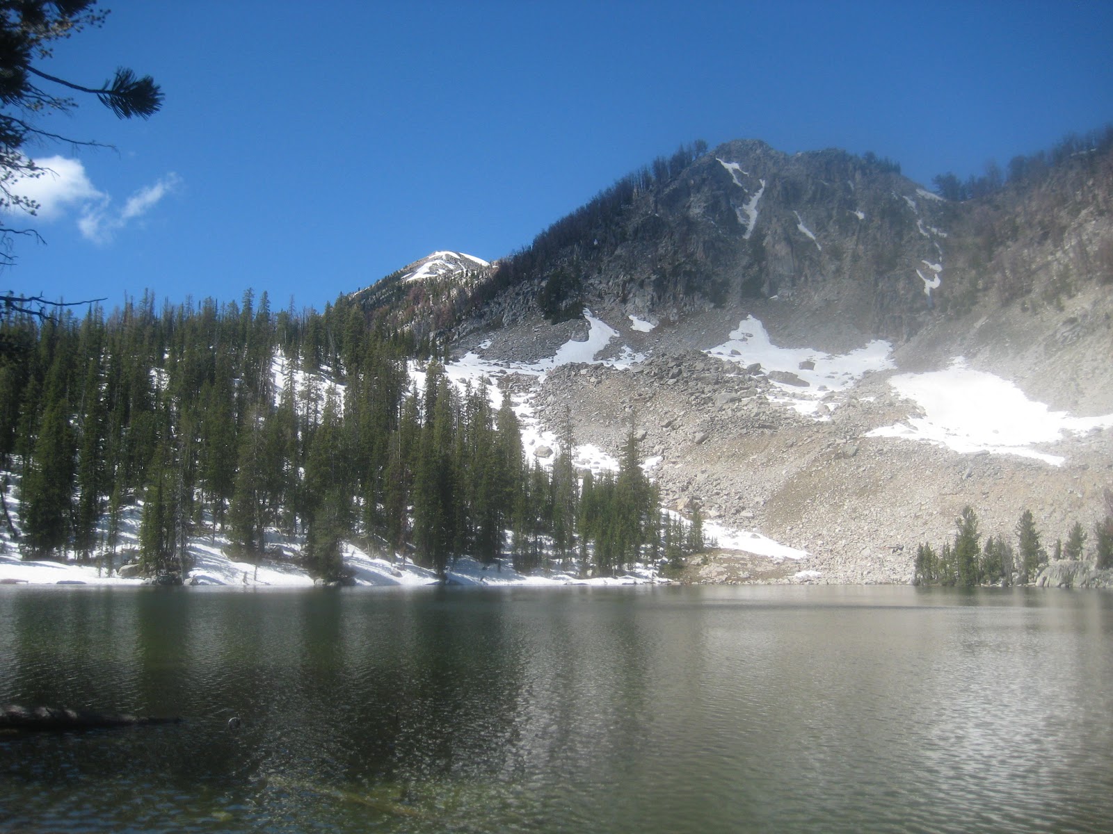 DeMartini's "Jackson Hole Adventure": Wonderful hike to the summit of ...