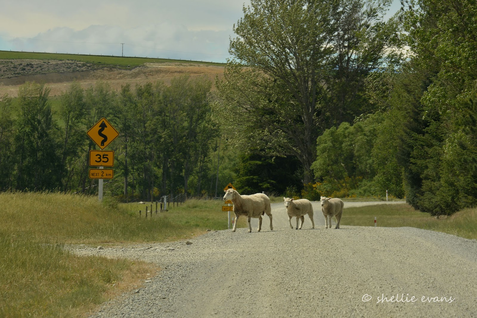 Two Go Tiki Touring: A Trip Over MacKenzie Pass