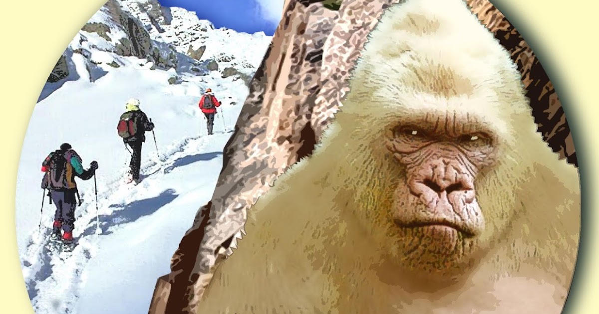 Pierre Jarry Illustrations: Le Yéti