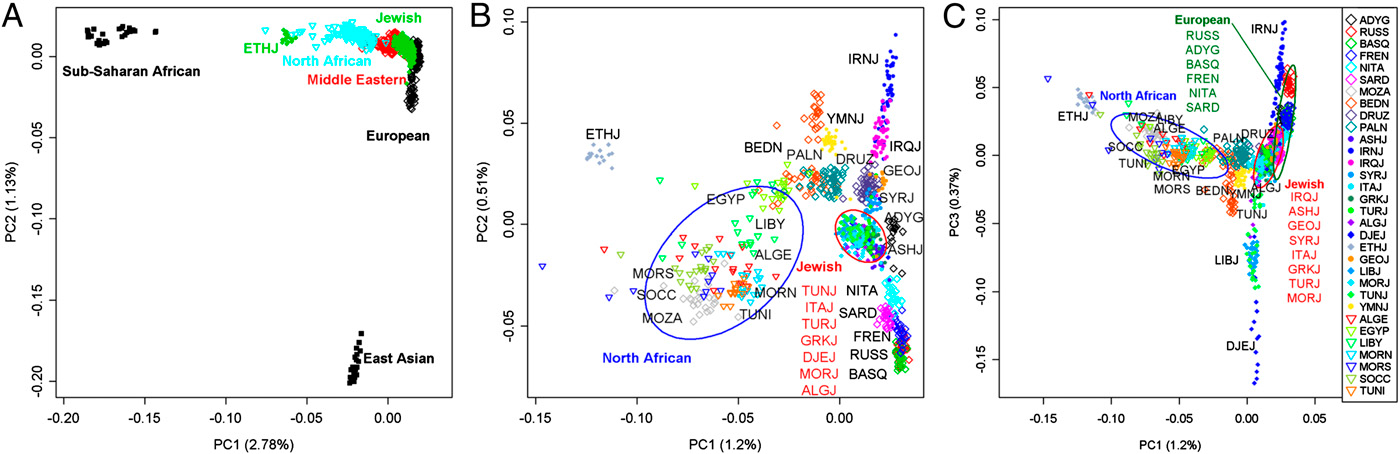 Arab slave trade, racemixing, and where did the slaves in the middle ...