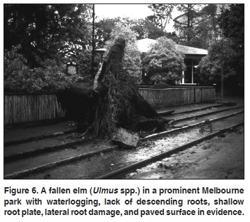 Openplants: April 2018