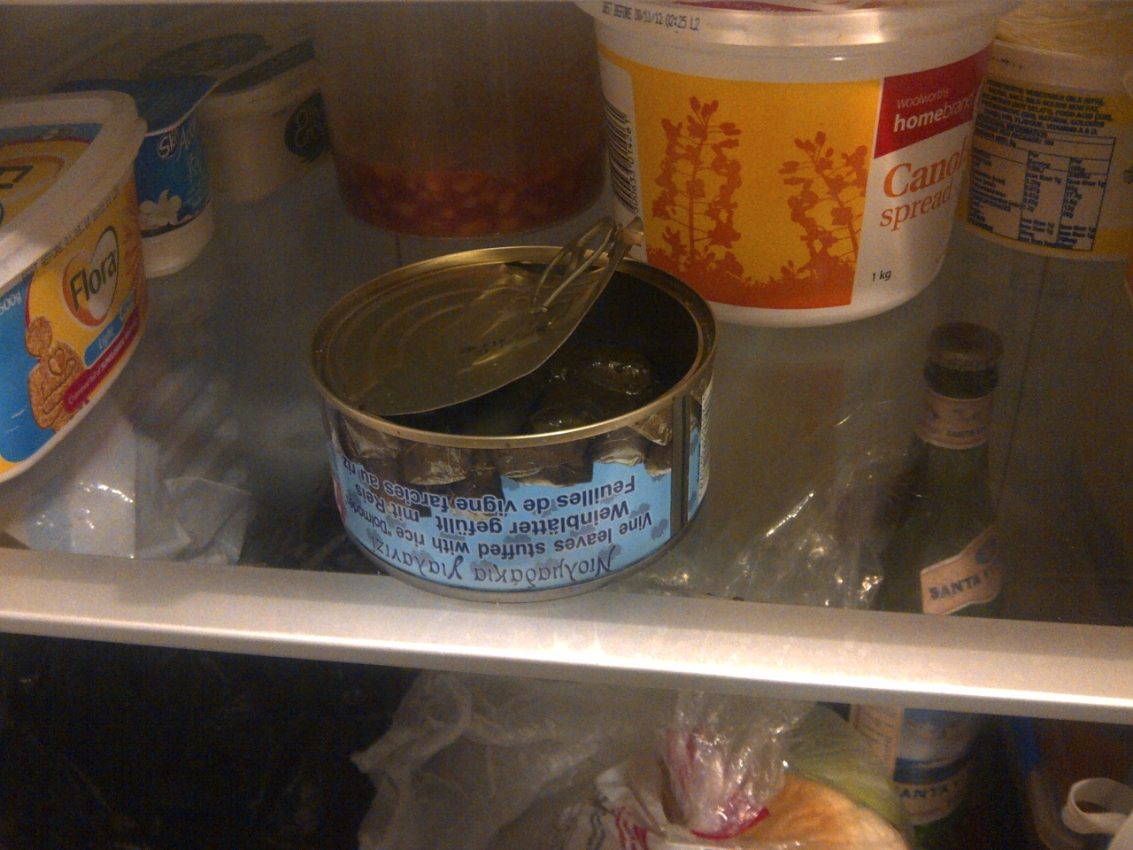 Frozen Tuna Fish, Frozen Tuna Loin, Frozen Tuna Fillet, Frozen Tuna ...