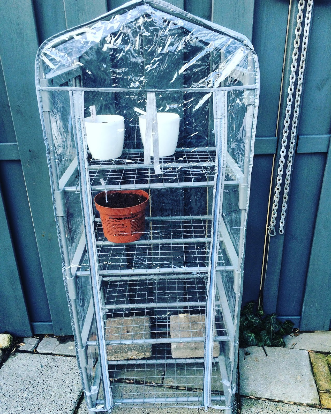 Mijn Moestuin: Tips voor warm weer en de planten in je kas