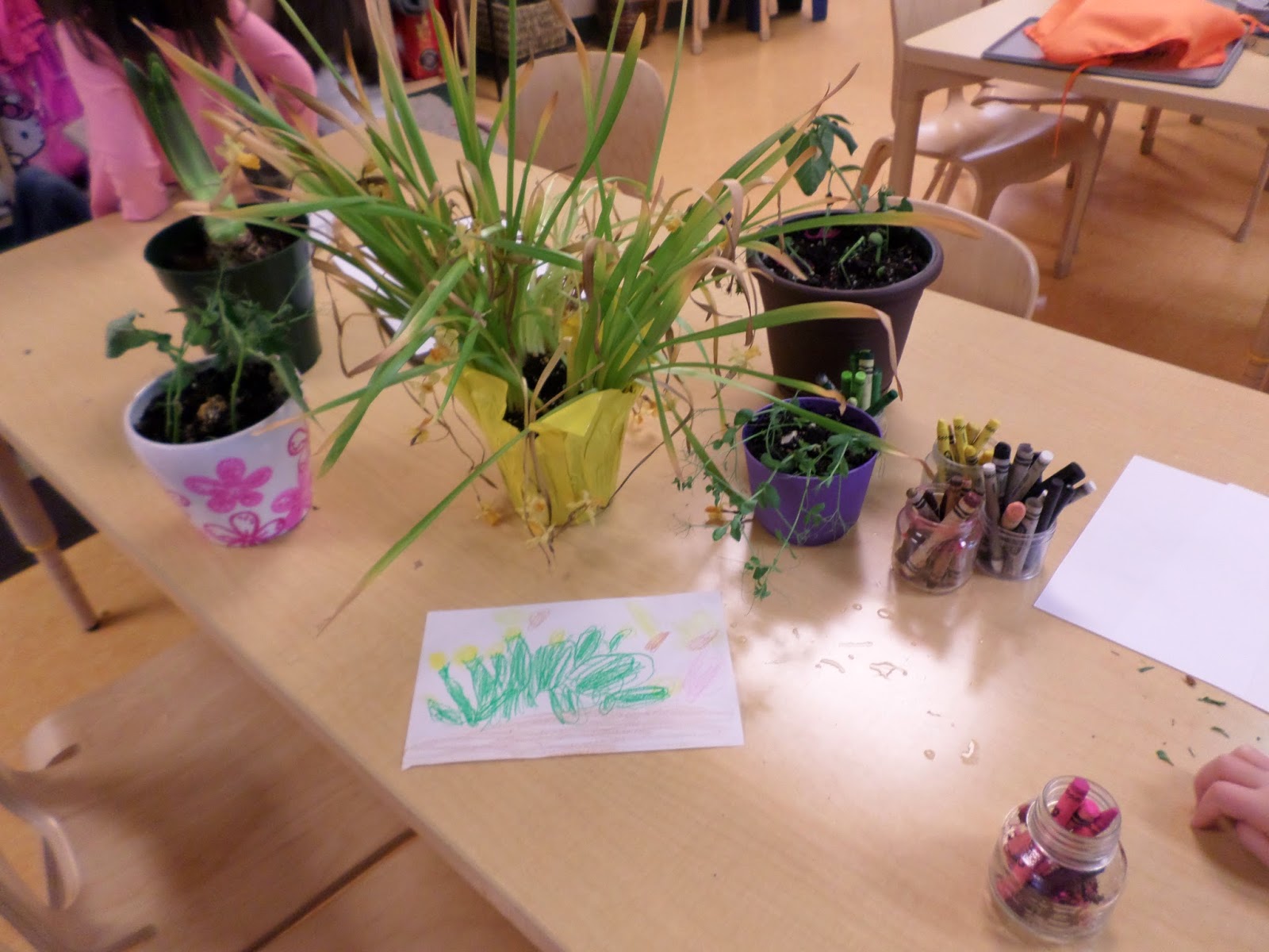 Mrs. Jacobs' Classroom