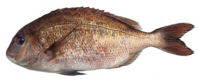 Вкуснотека: Фагри с печени зеленчуци