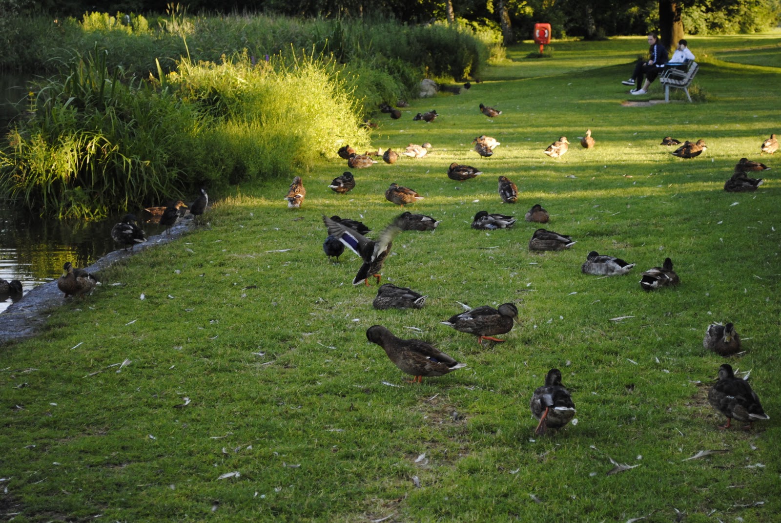 Valby Park, Copenhagen