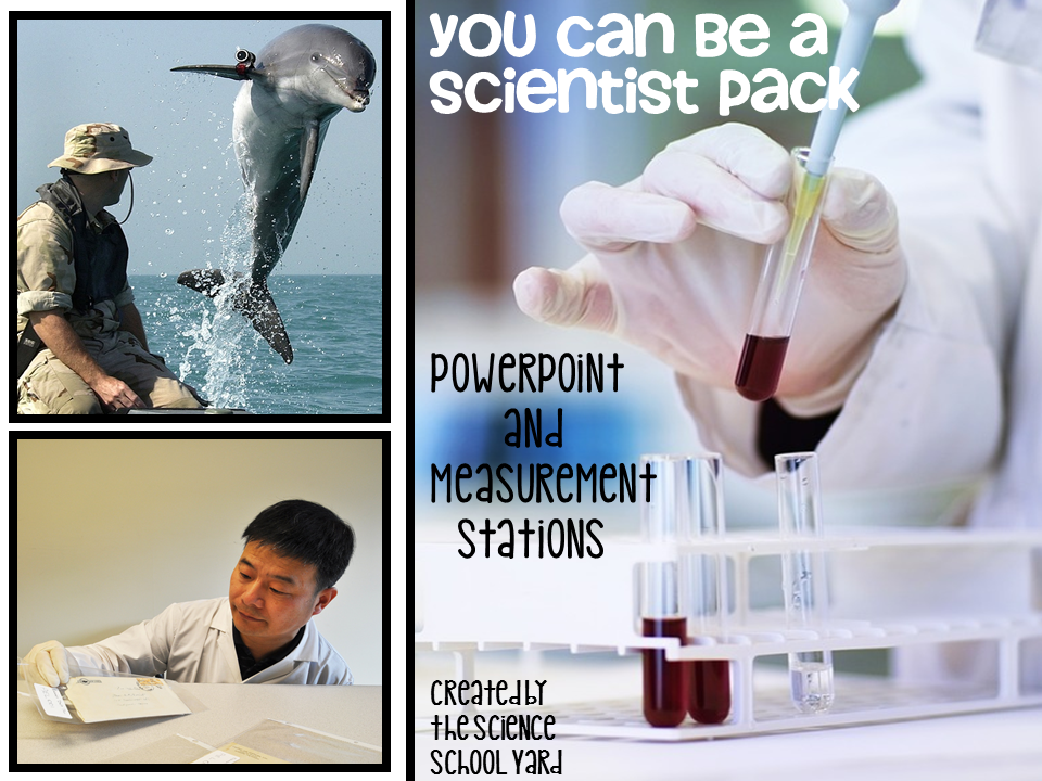 Back To School and What To Do In Science - The Science School Yard