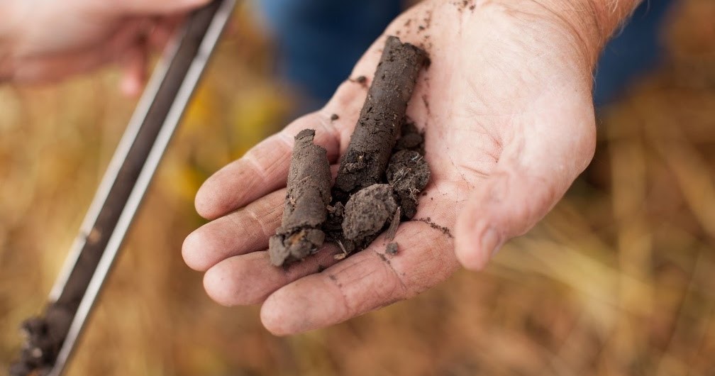 Fall Manure Application Basics for Vegetable and Fruit Growers