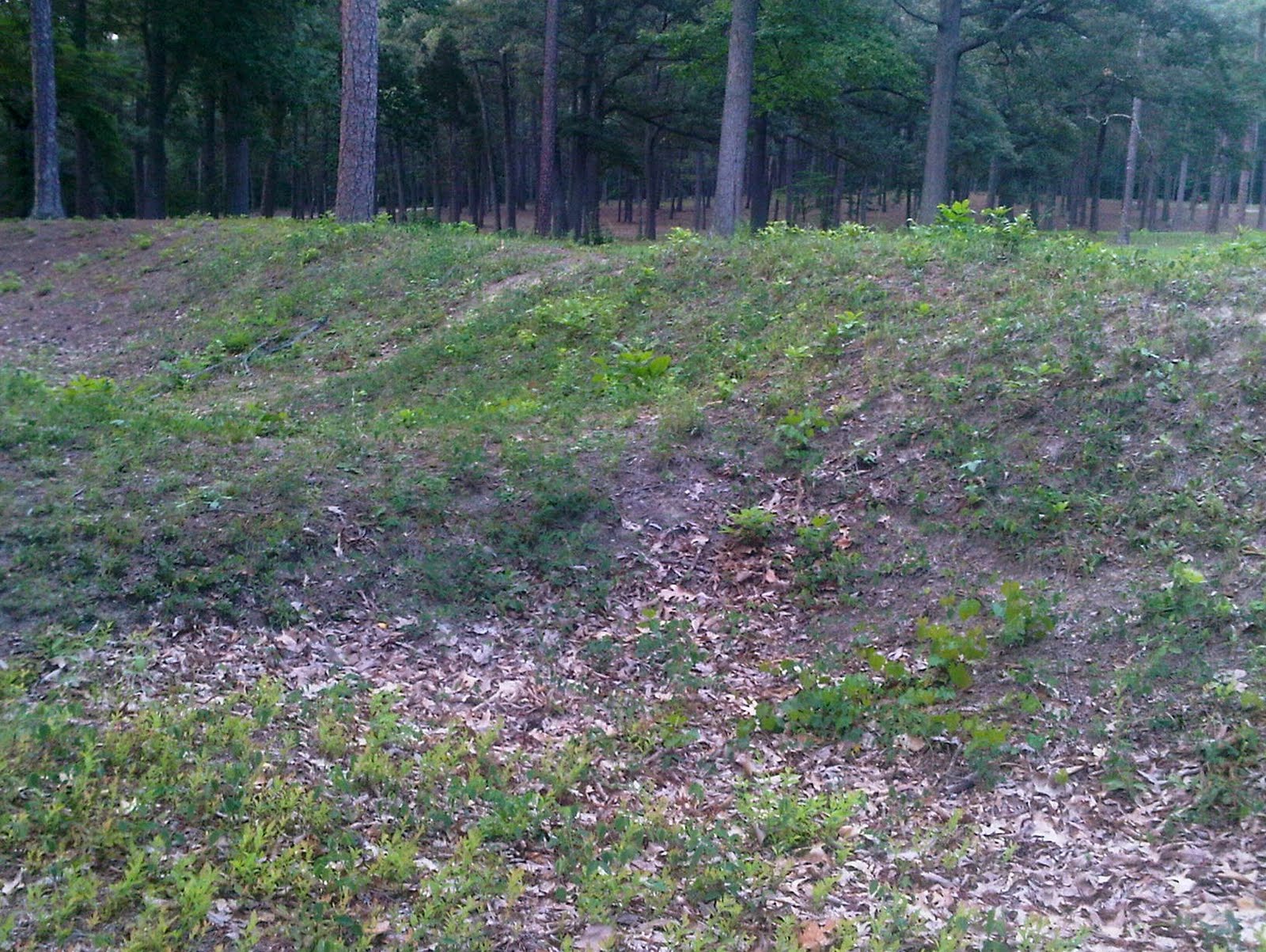 JOHN BANKS' CIVIL WAR BLOG: Civil War travelogue: Cold Harbor