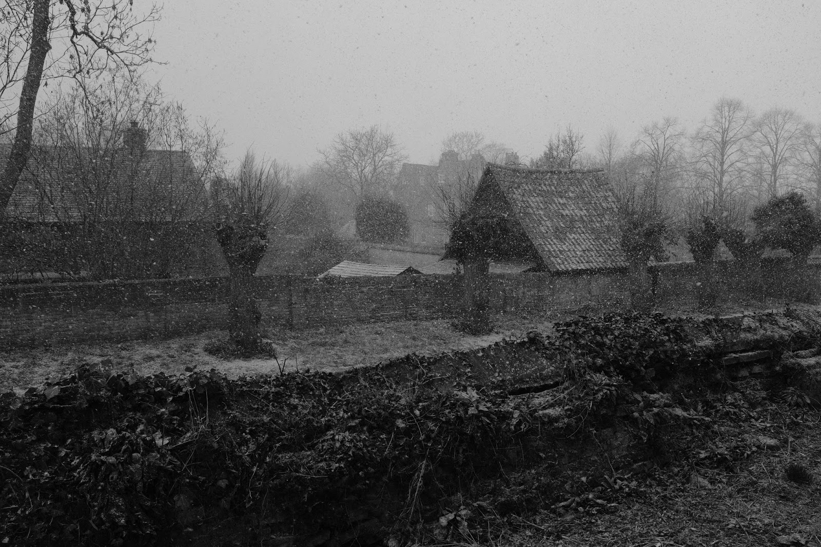 A walk along the River Cam from Cambridge to Fen Ditton and back in the ...