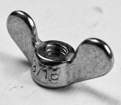 The Voices In My Head: Wingnuts (updated)