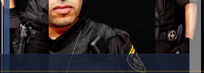 Admiral Security Services, Security Guard Provider Company: Armed ...