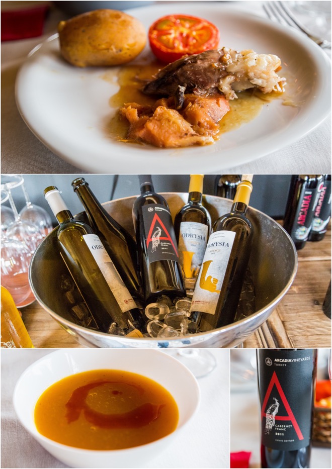 Arcadia Vineyards and Bakucha Vineyard Hotel in Northern Thrace, Turkey