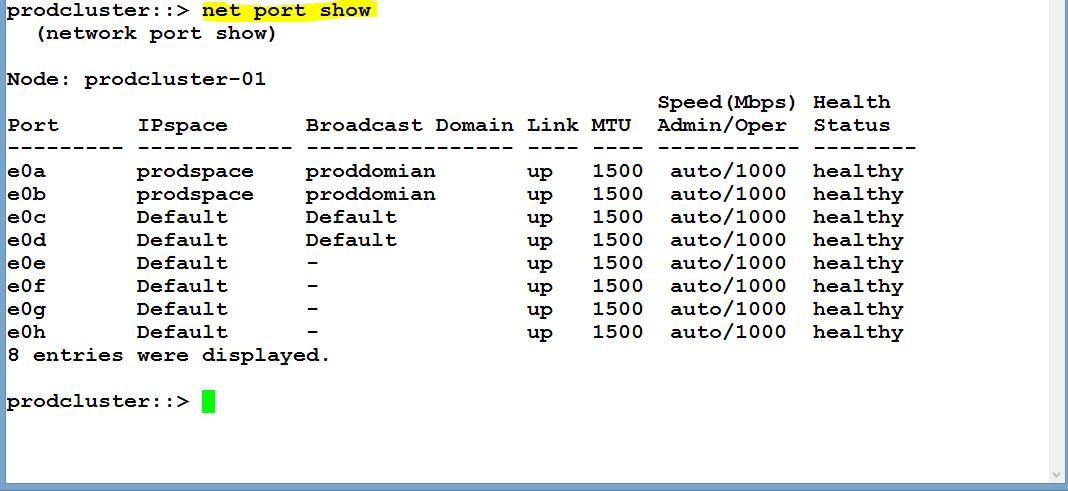 Remote Infrastructure Management: ONTAP 9 Network Management Tutorial