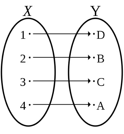 Professor Quibb: Infinity: The First Transfinite Cardinal