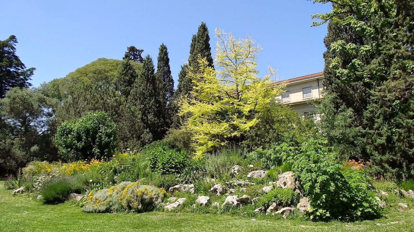 Jacques Huber and the Amazonian Botany: Jardin des Plantes de ...