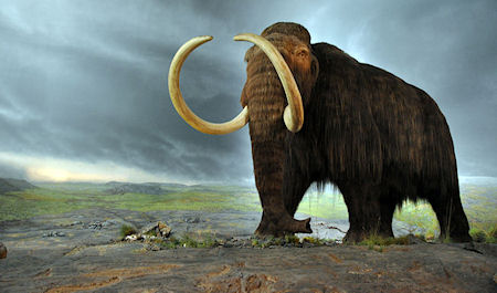 The Presurfer: 25 Animals That Scientists Want To Bring Back From ...