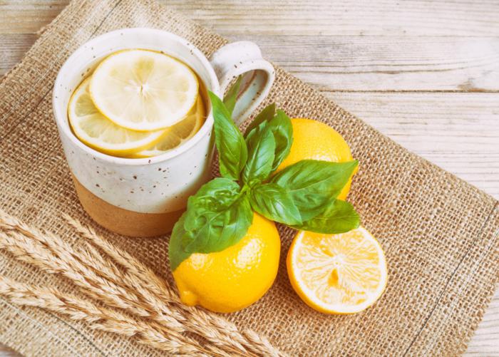 TRACYCORRECAMINOS: TÉ DE ALBAHACA