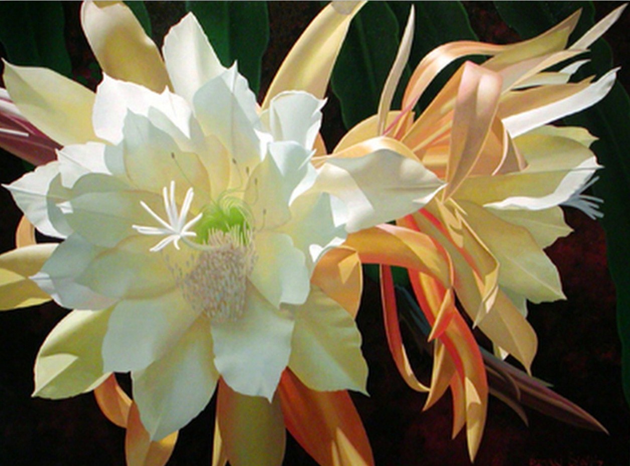 Arte y Actividad Cultural: Las Flores Modernas al Óleo de Brian Davis