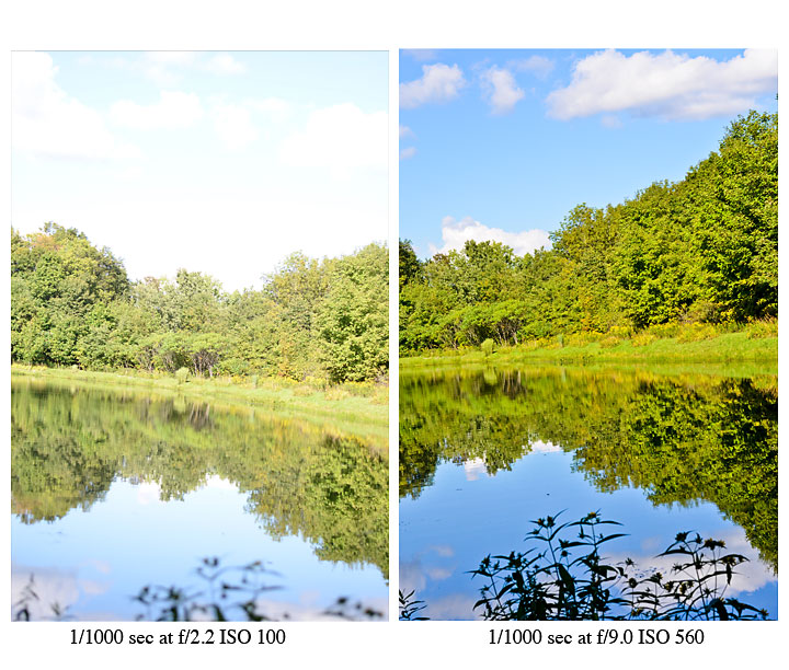 My Creative Escapes - photography, crafting, DIY and more: Proper ...