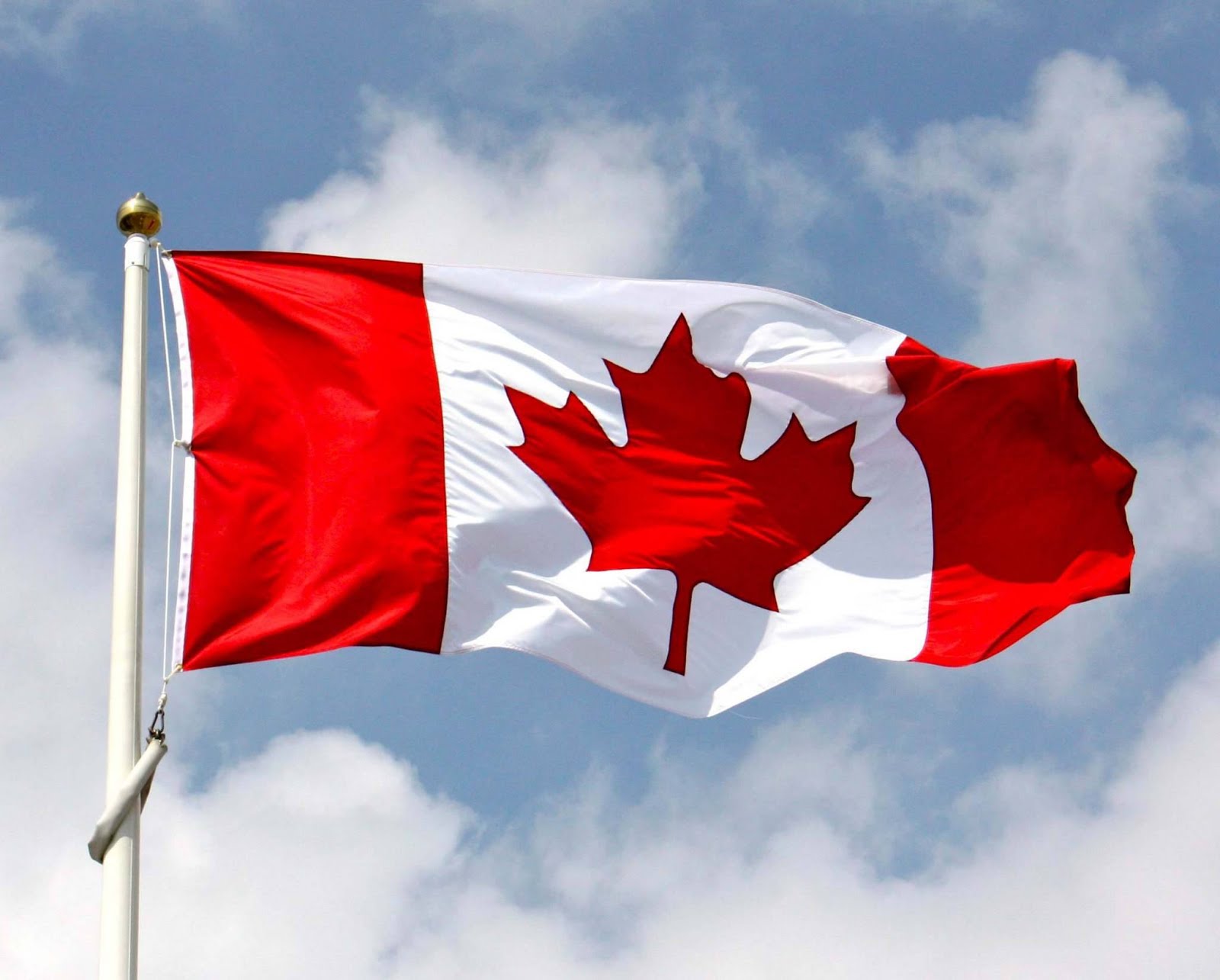 CANADA And ENGLISH Remembrance Day 2021 Canada Remembers FULL canada-and-english-remembrance-day-2021-canada-remembers-full