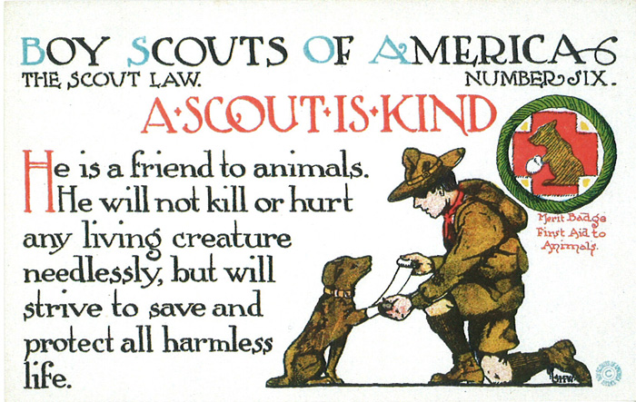 Scouts BSA Troop 1910, Keller, TX: A Scout is Kind