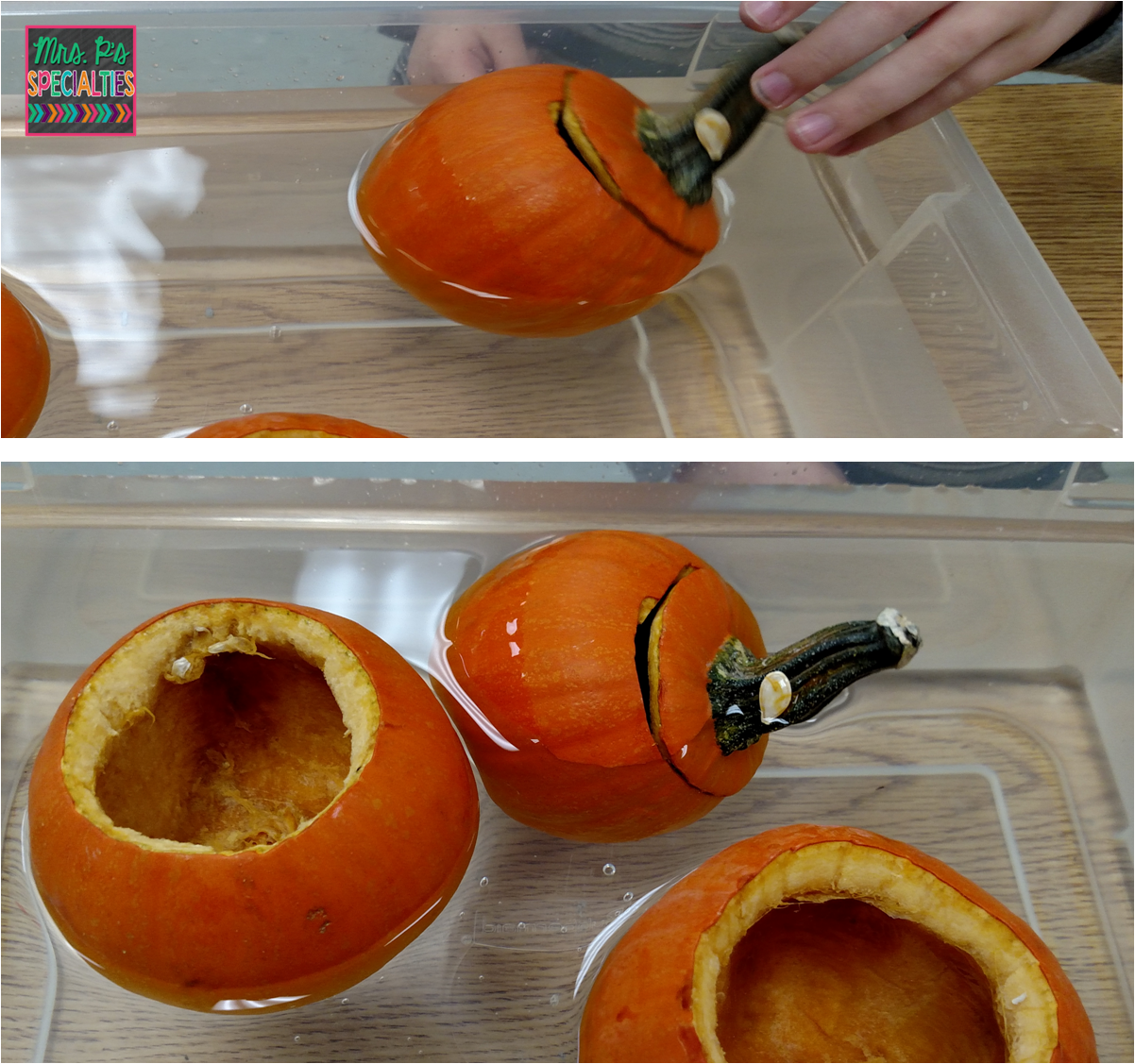 Pumpkin Science! · Mrs. P's Specialties