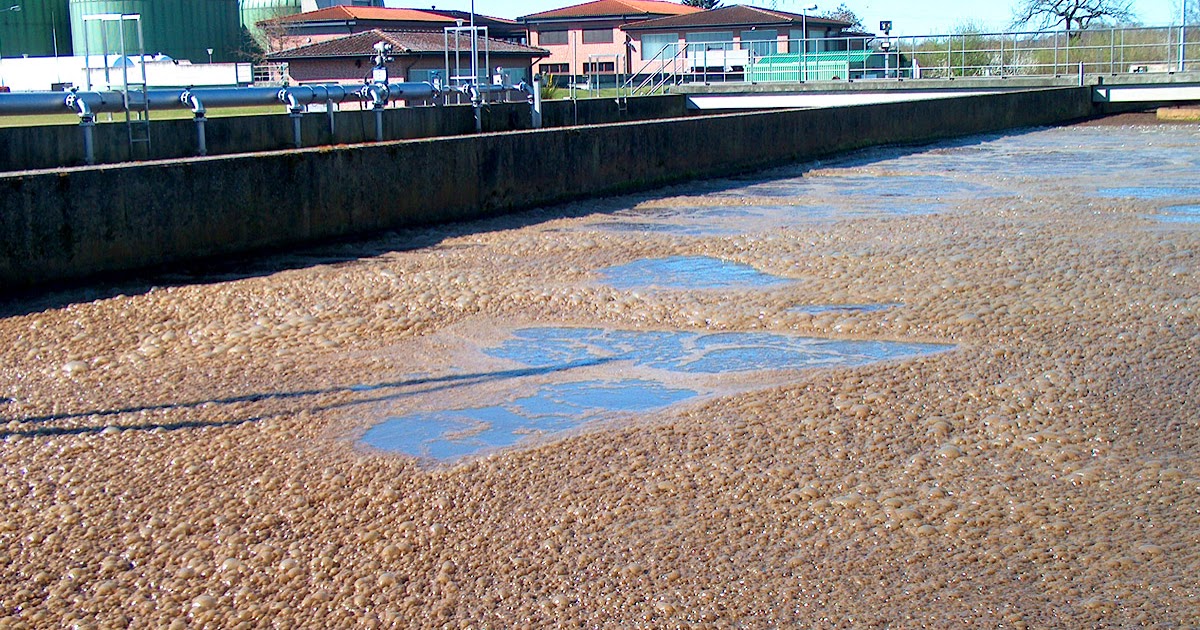 10 Langkah Jitu Mengatasi Masalah Sludge Bulking Pada Bak Aerobik IPAL ...