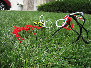 Two Roads, One Traveler