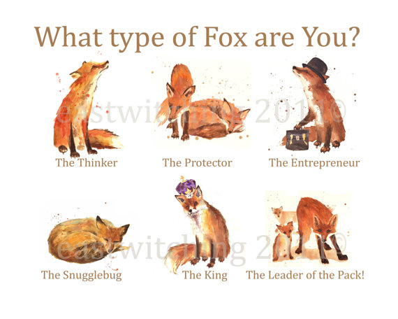 Kindness by Design: For the Love of Foxes