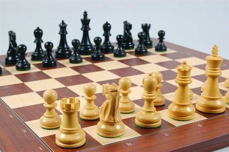 DGT chess board for the patzer! - Blog GilaChess