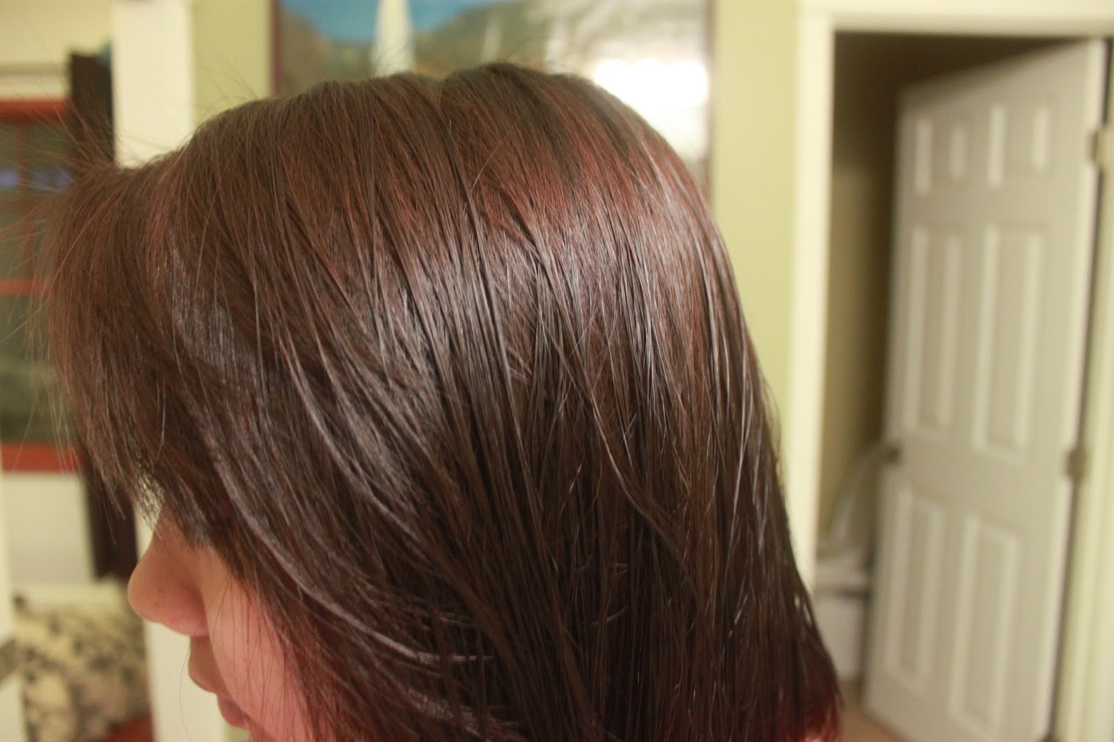 the royal diaries: REVIEW | Liese Hair Dye: Natural Mocha