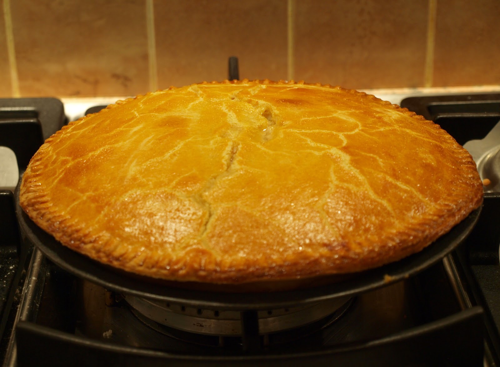 Onions and Paper: Bookmarked recipe - Cheesy Lentil Pie with Cornmeal ...