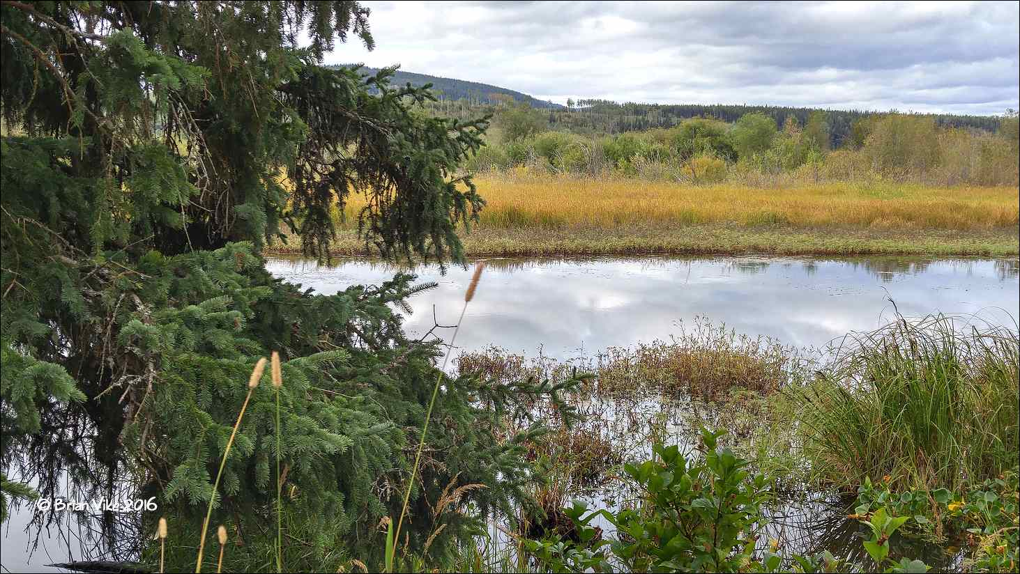 Northern Interior British Columbia: Topley Rest Area A Scenic Treasure ...