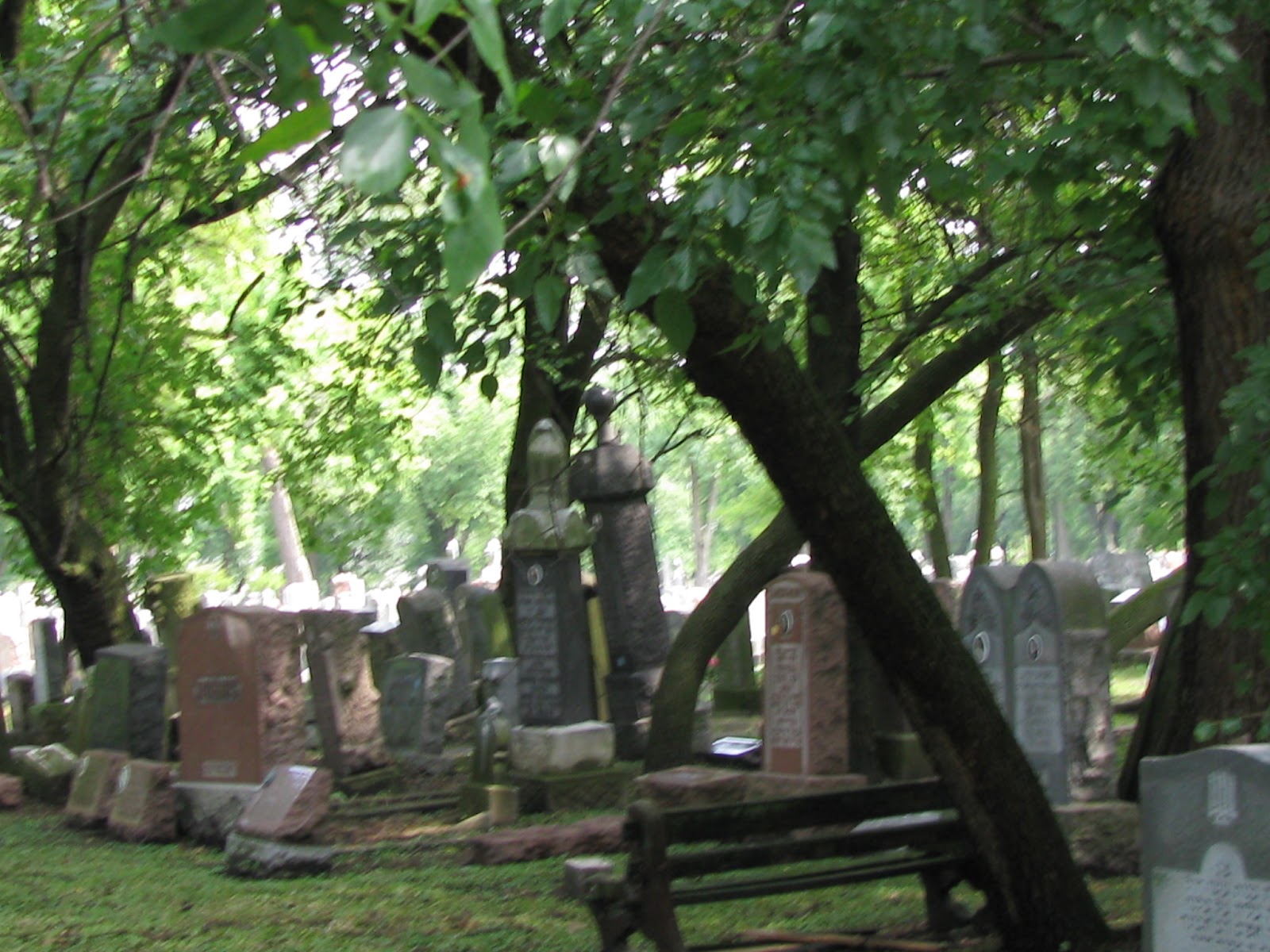 A Grave Interest: Cemeteries Worth the Visit - Waldheim Jewish Cemetery ...