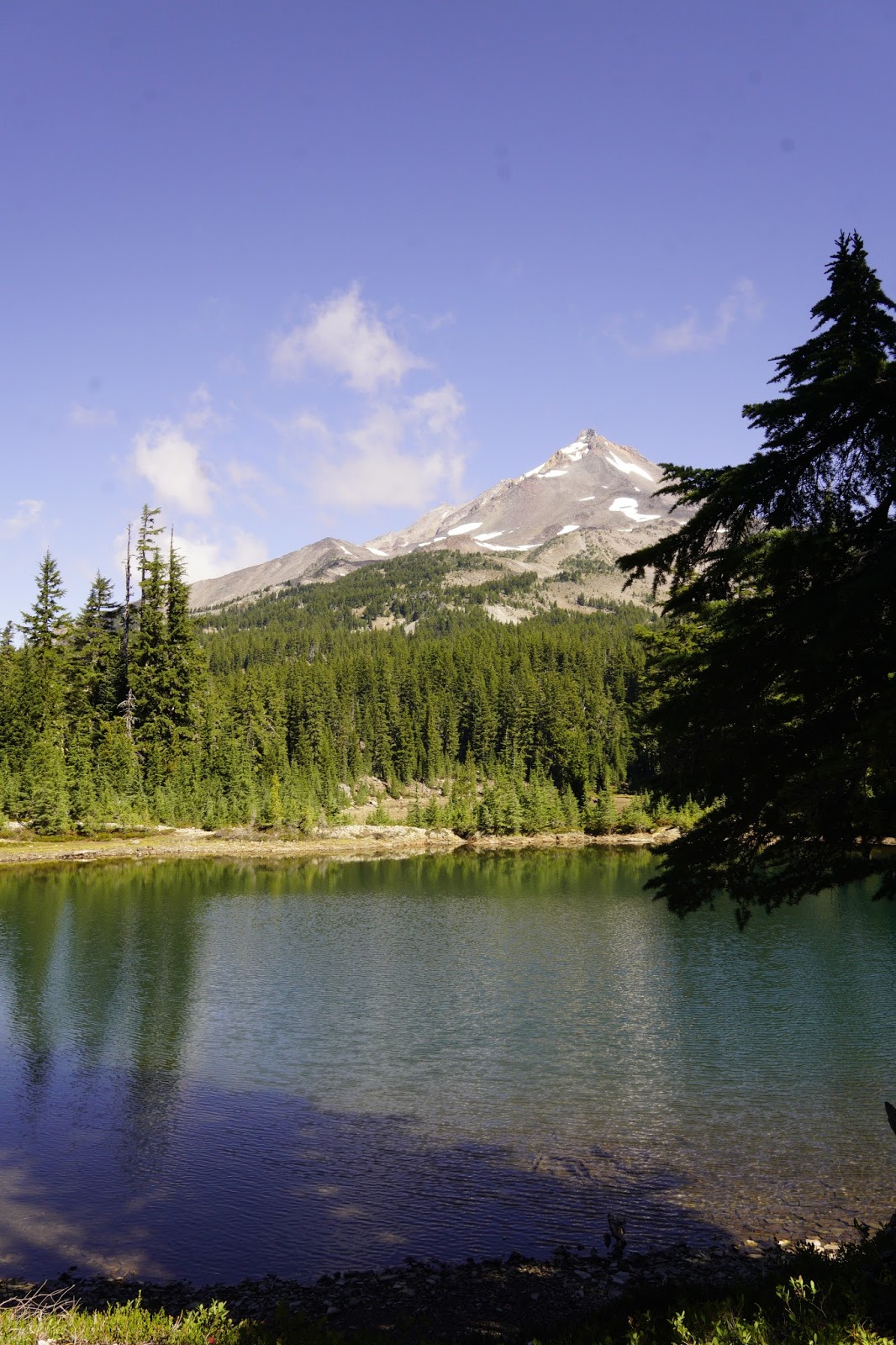 Over the hills and through the woods, across Oregon we go!