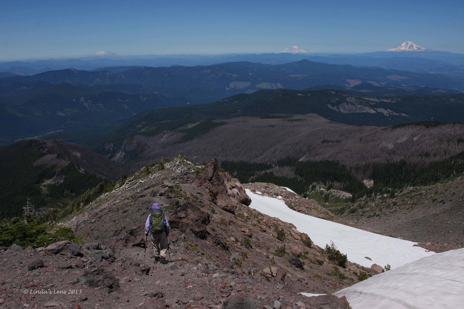 Linda's Lens: Paradise on McNeil Point
