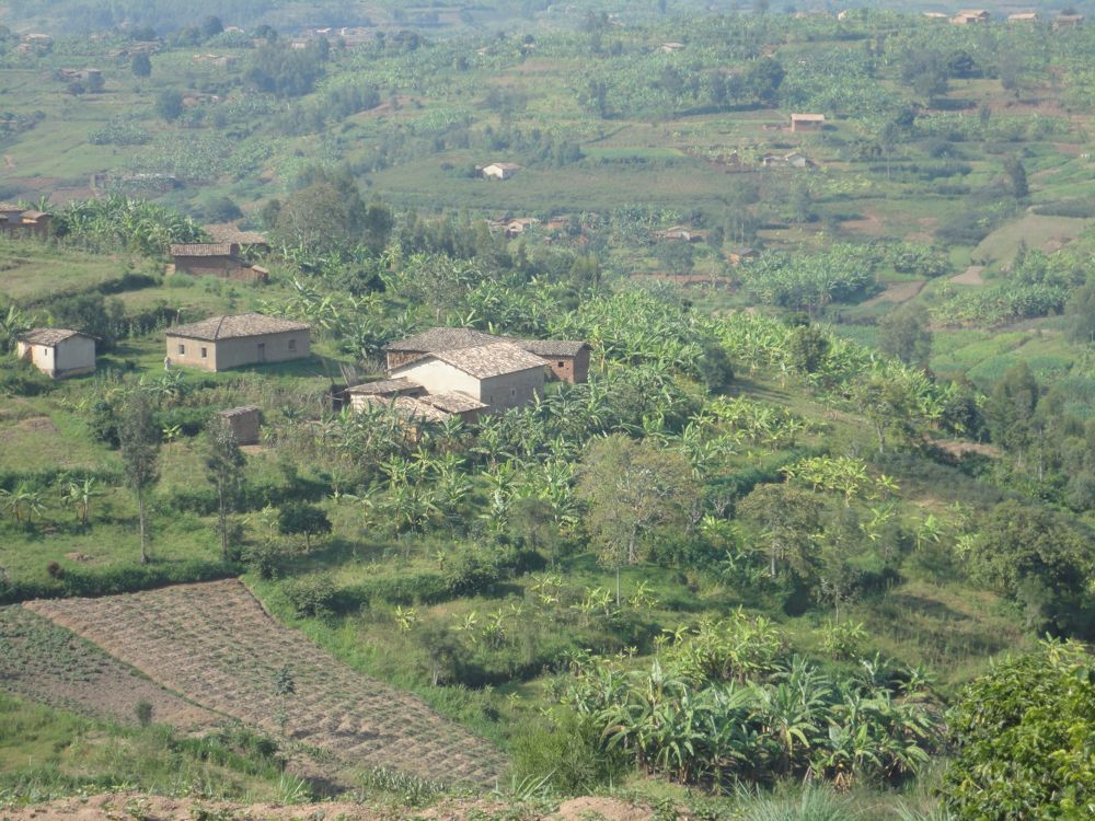 Karen's Rwanda Blog: Azizi Life